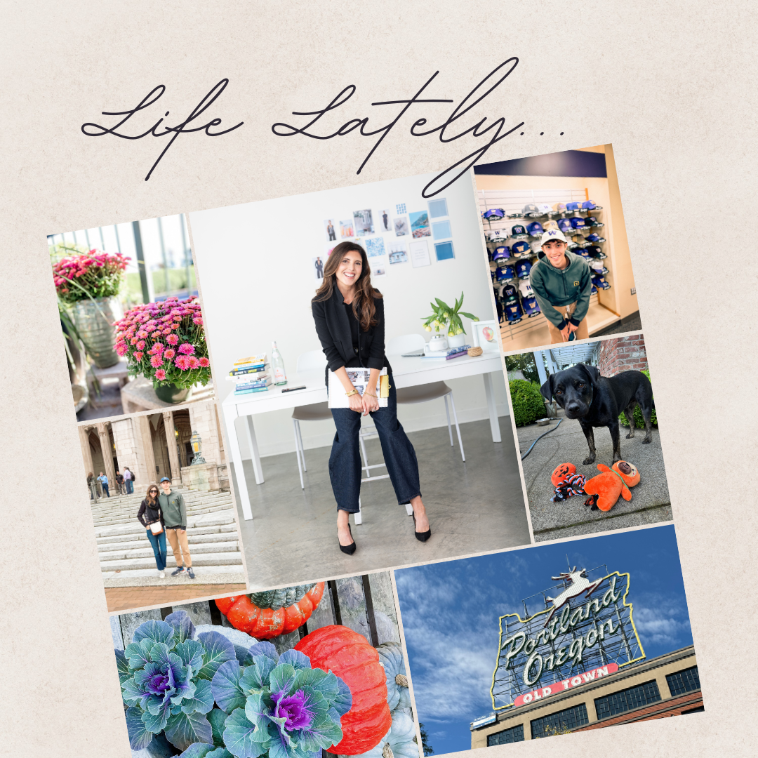 Life Lately…College Tours, Inspiration at Work & Foster Experience - Career Insight Studio